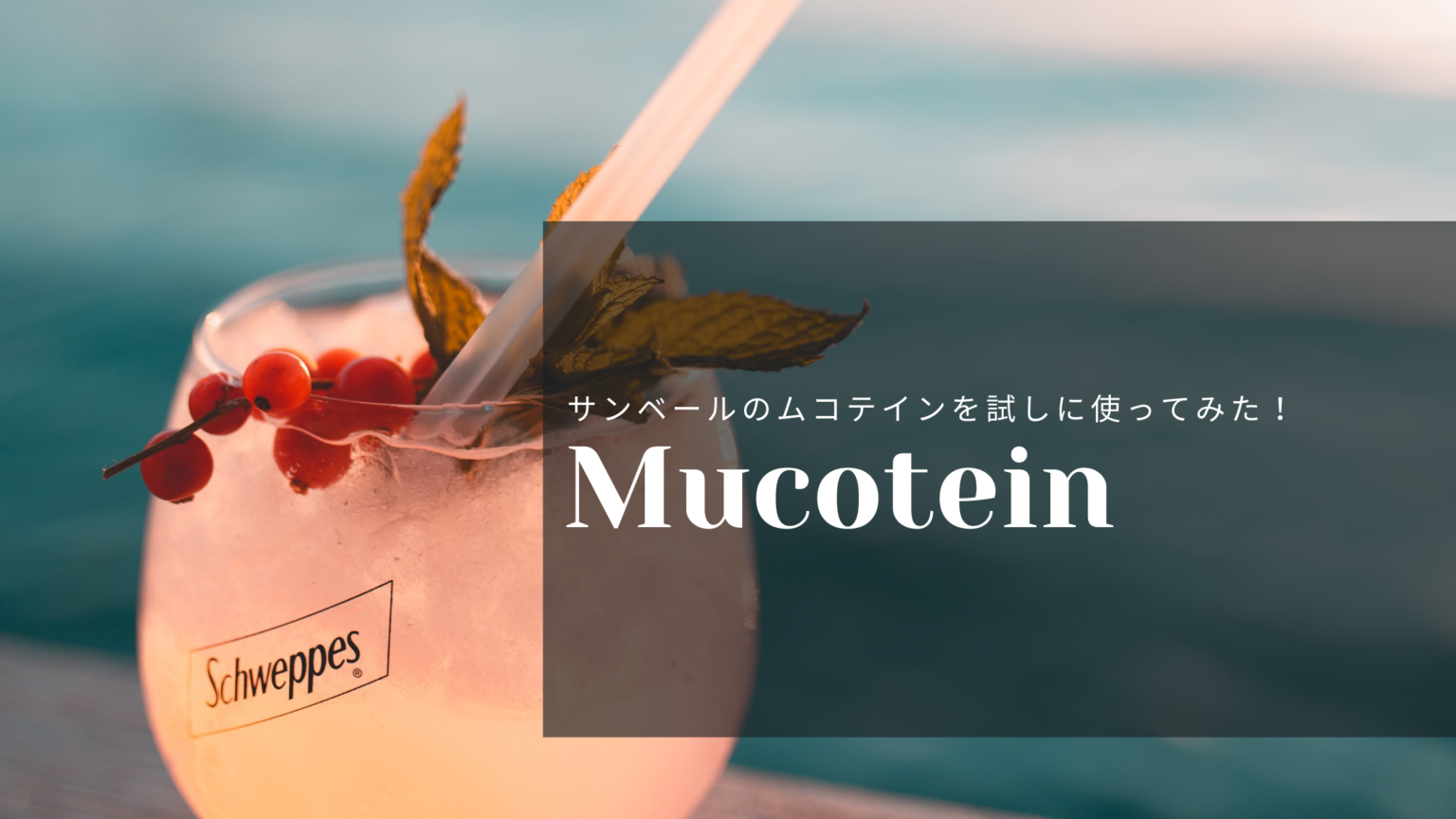 サンベールのムコテイン飲んでみた！ムコ多糖の評判を調査 | MLM LABO-ネットワークビジネス(MLM)の製品を体験しブログ配信